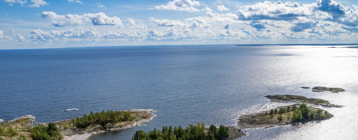 Заметки культурной Белки