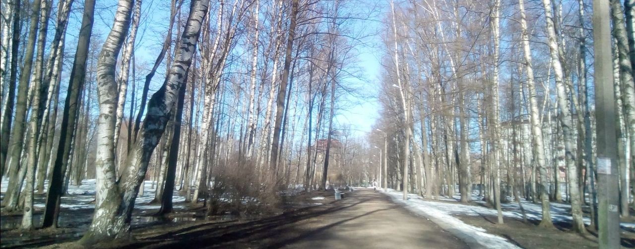 астропсихолог Игорь Джай