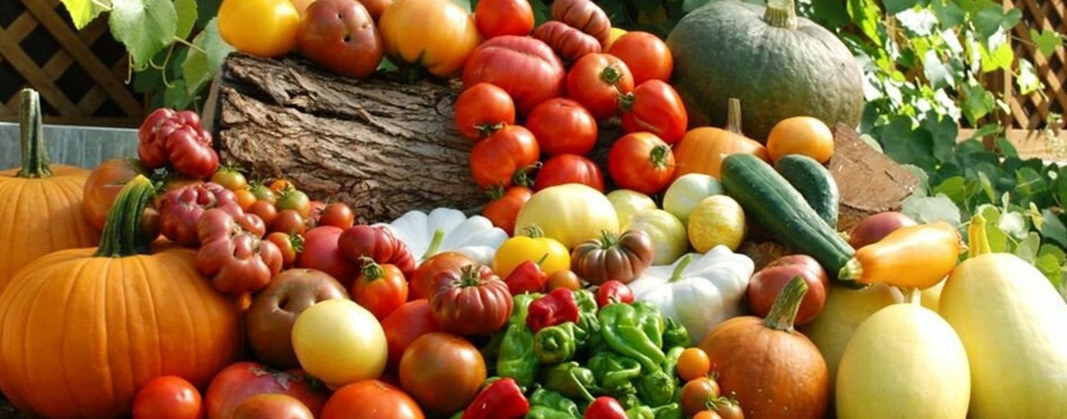 Яков Огородник