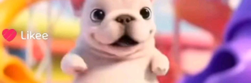 Мили Собачки