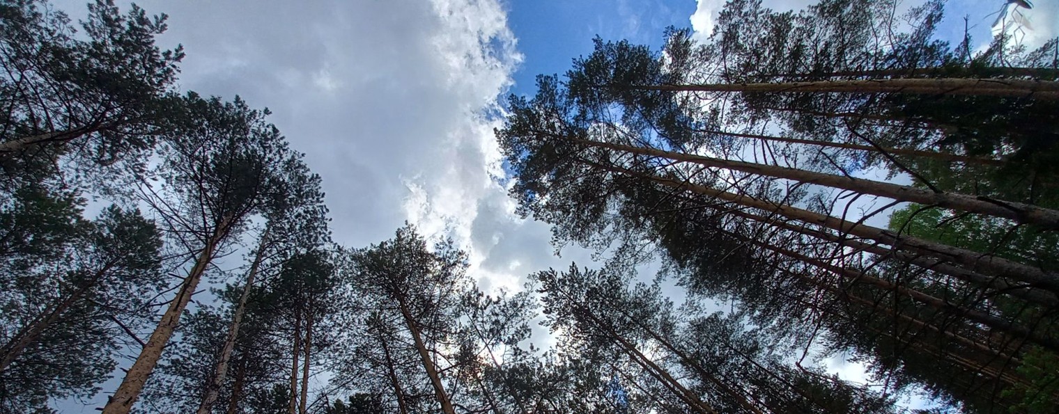 Иван Михайлович