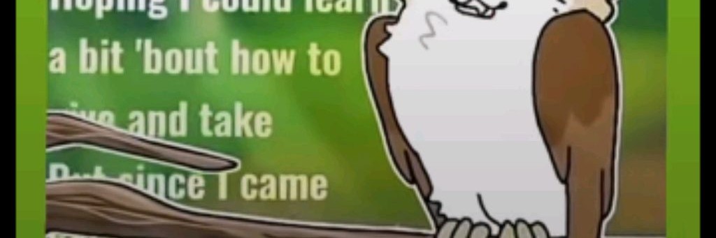 Мистер Котик АТ2