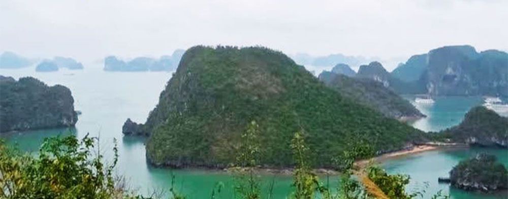 Новые горизонты 50+