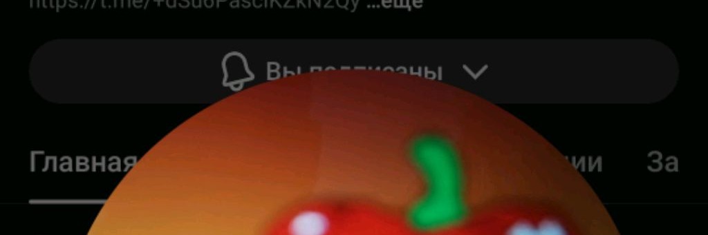 vordance (вавец)
