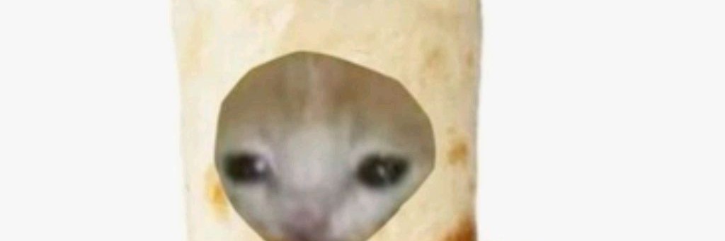 Дося