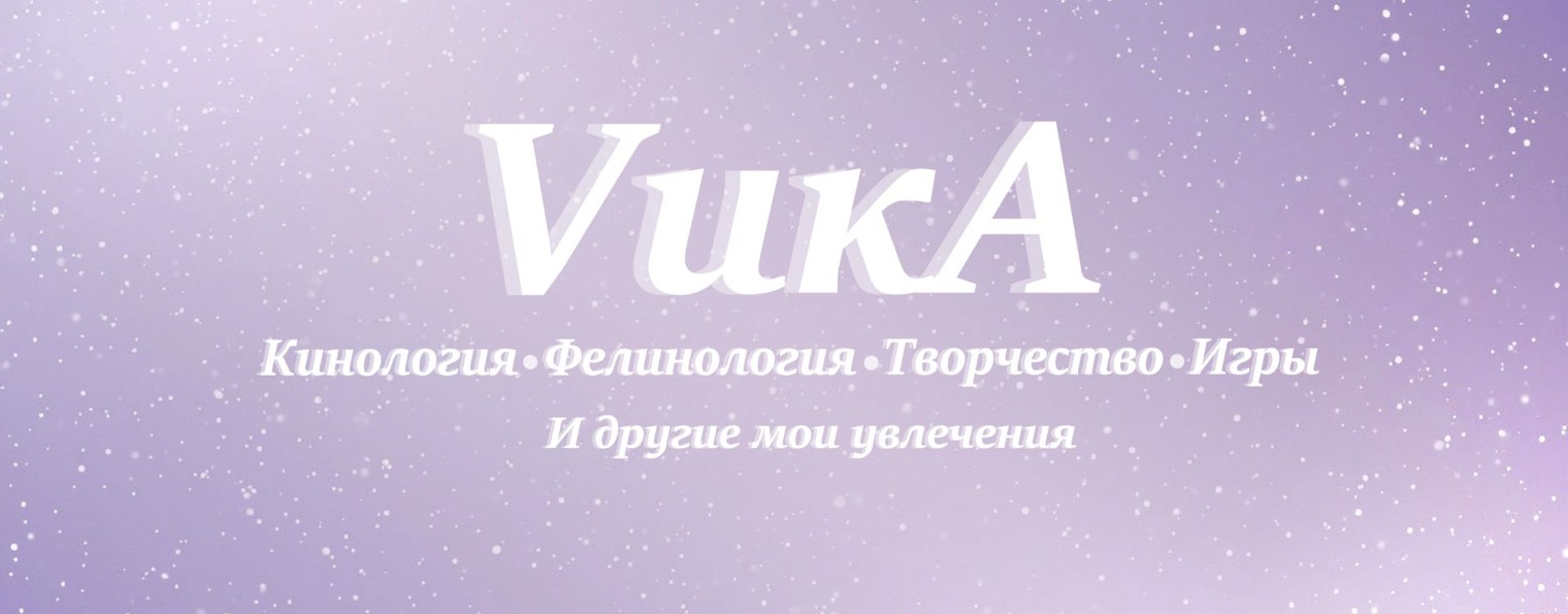 VикA: маленький мир больших увлечений