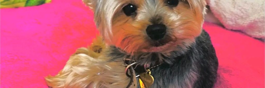 Да Ты ШУЕШЬ🫠