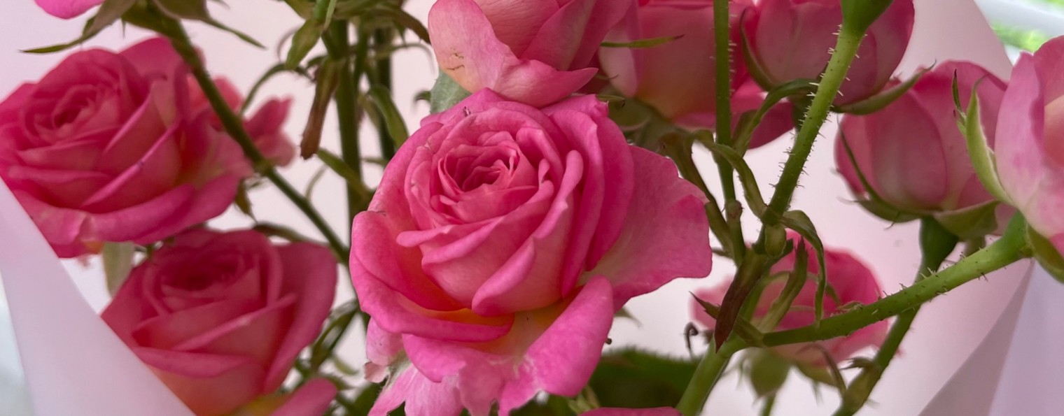 Творческие истории: хобби и уют