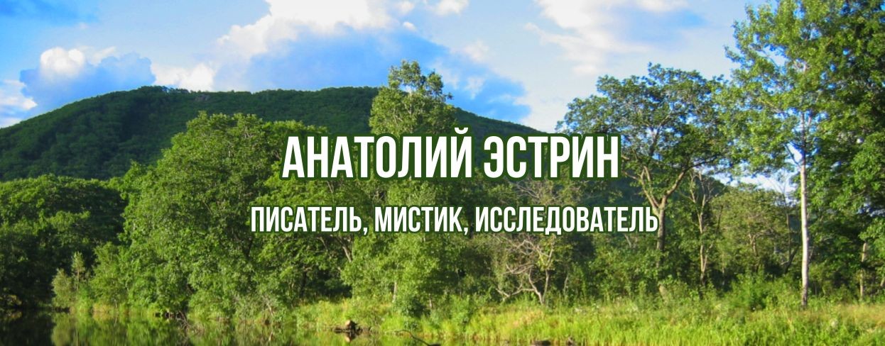 Анатолий Эстрин