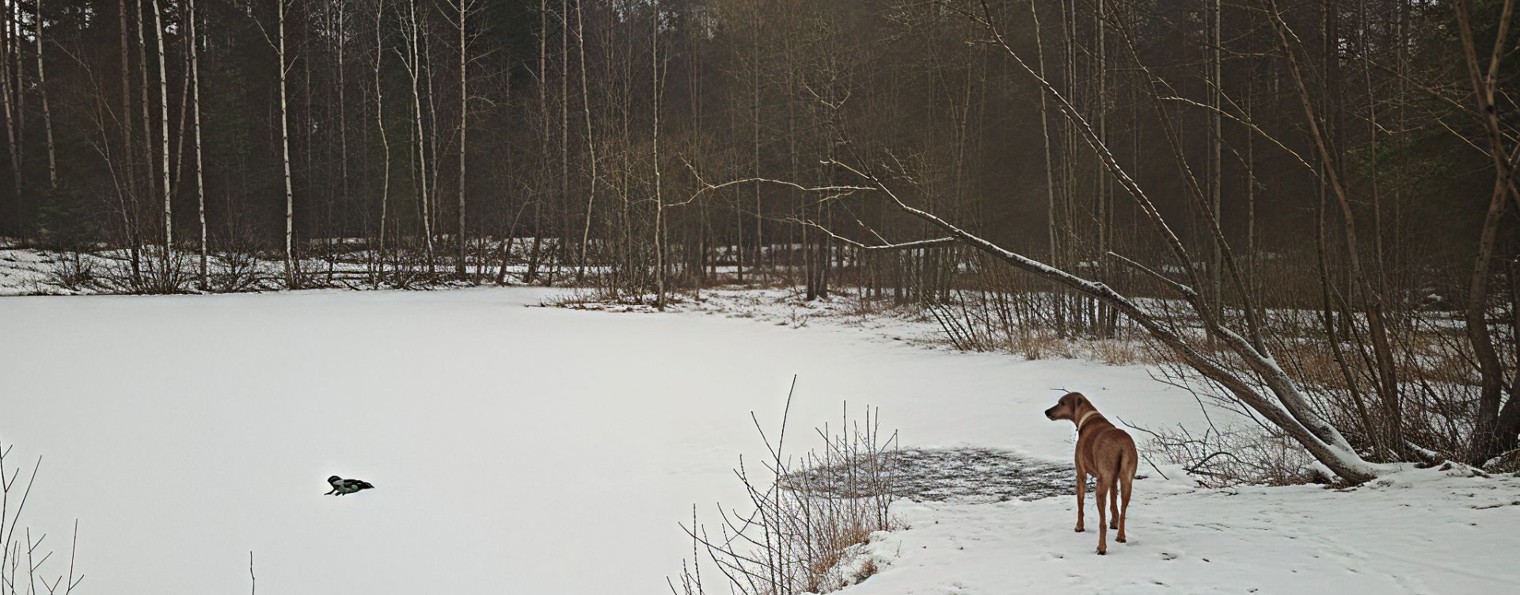 Сергей Коротков