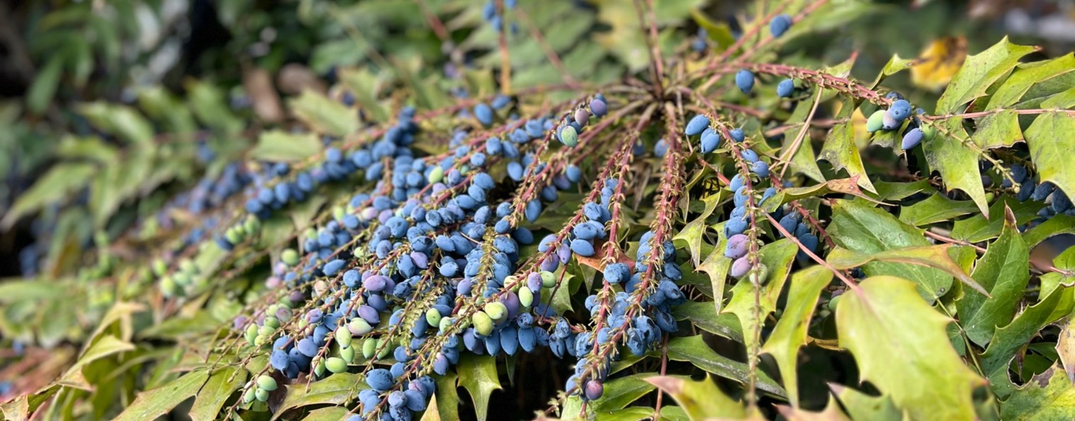 Эльза вяжет