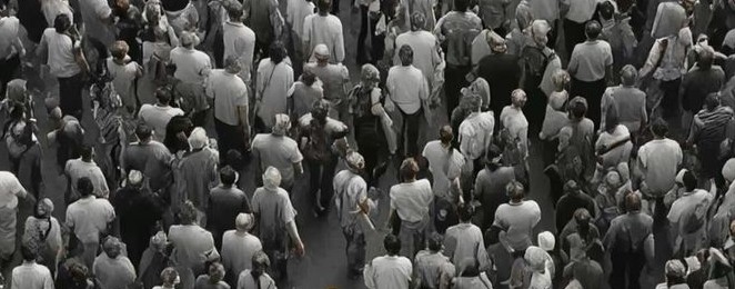 В мире животных ремейк