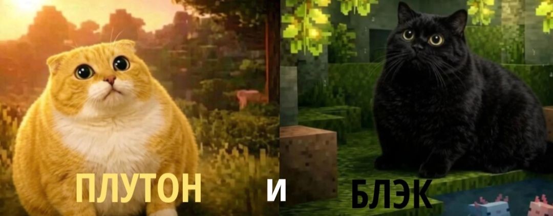 ПЛУТОН и БЛЭК