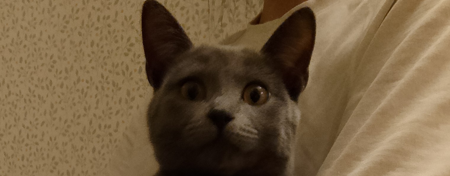 Ярик про