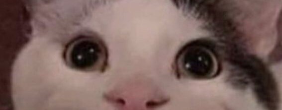 Ии мемы 😂😂😂