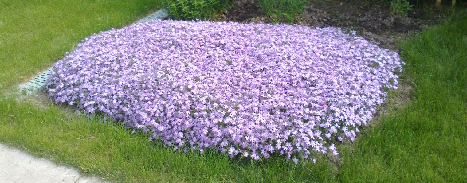 Дверь в окно