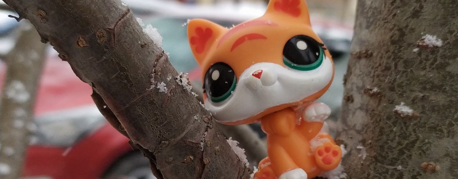 Love Lps