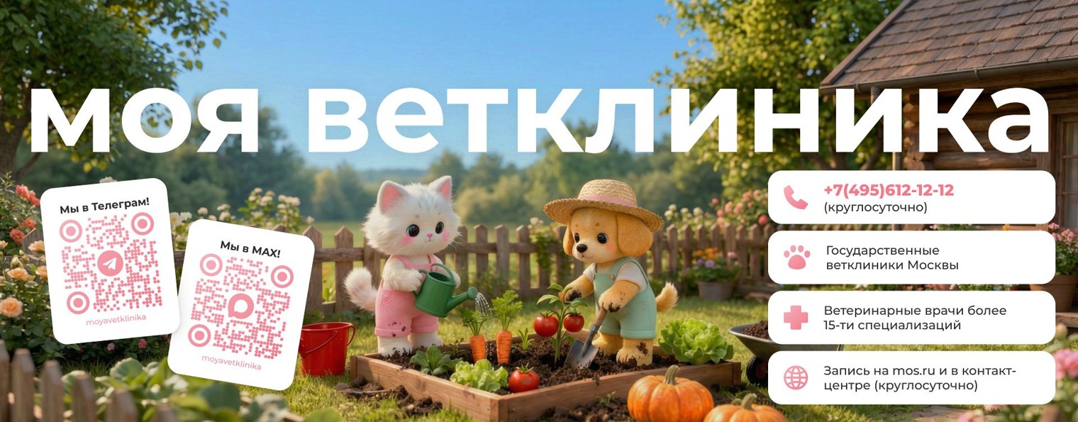 Моя Ветклиника