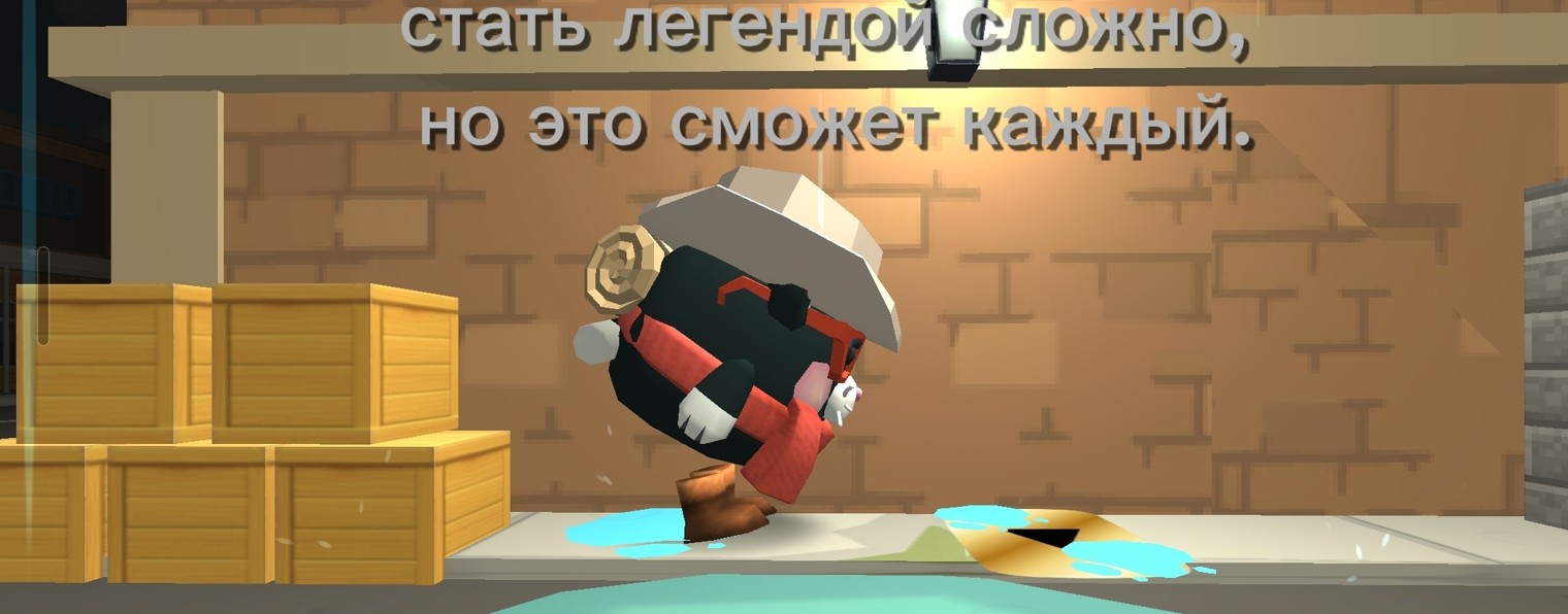 кот в очках41K