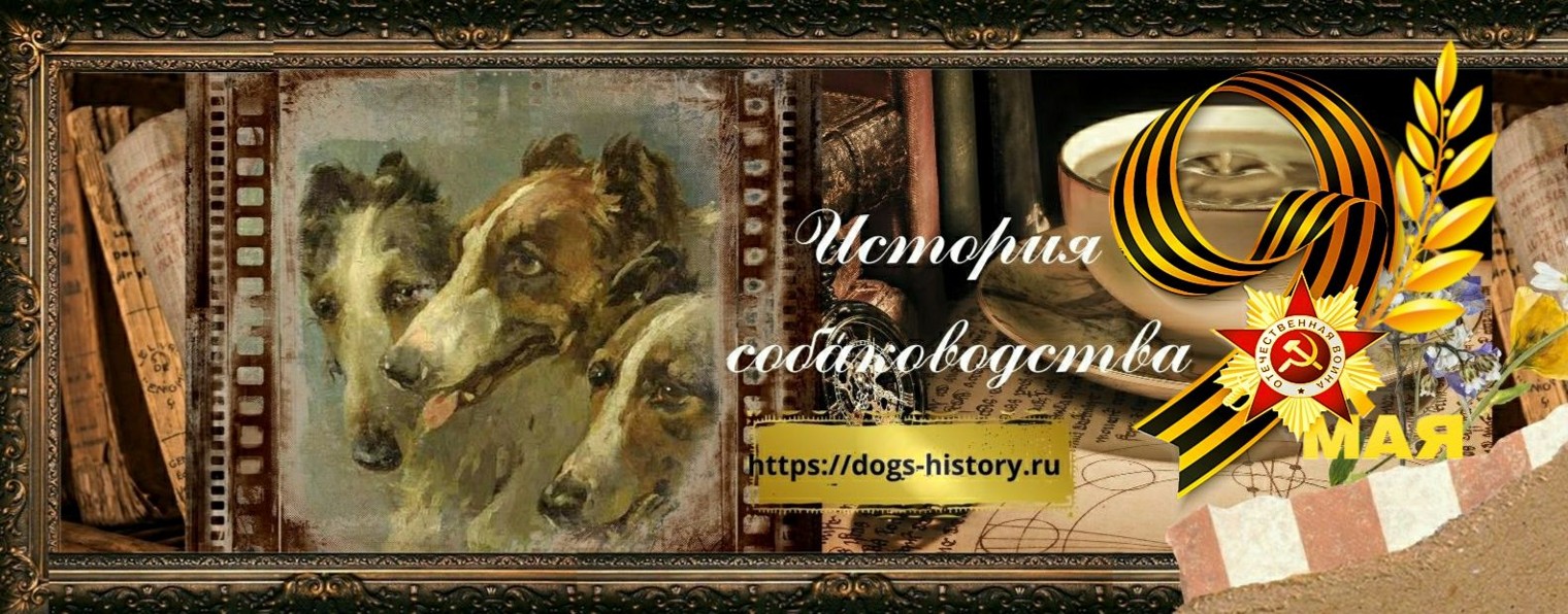 ИСТОРИЯ СОБАКОВОДСТВА