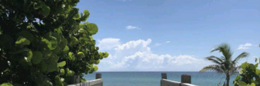 🌿~𝔩𝔢𝔯𝔞_𝔄𝔳𝔞𝔱𝔞𝔯|𝔴𝔬𝔯𝔩𝔡~🌴