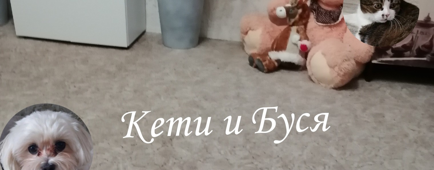 Кети и Буся