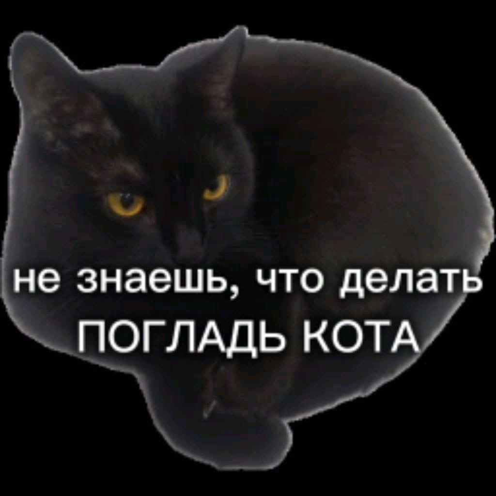 MS – MishkaSmetanka