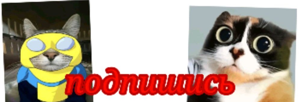 Собакин