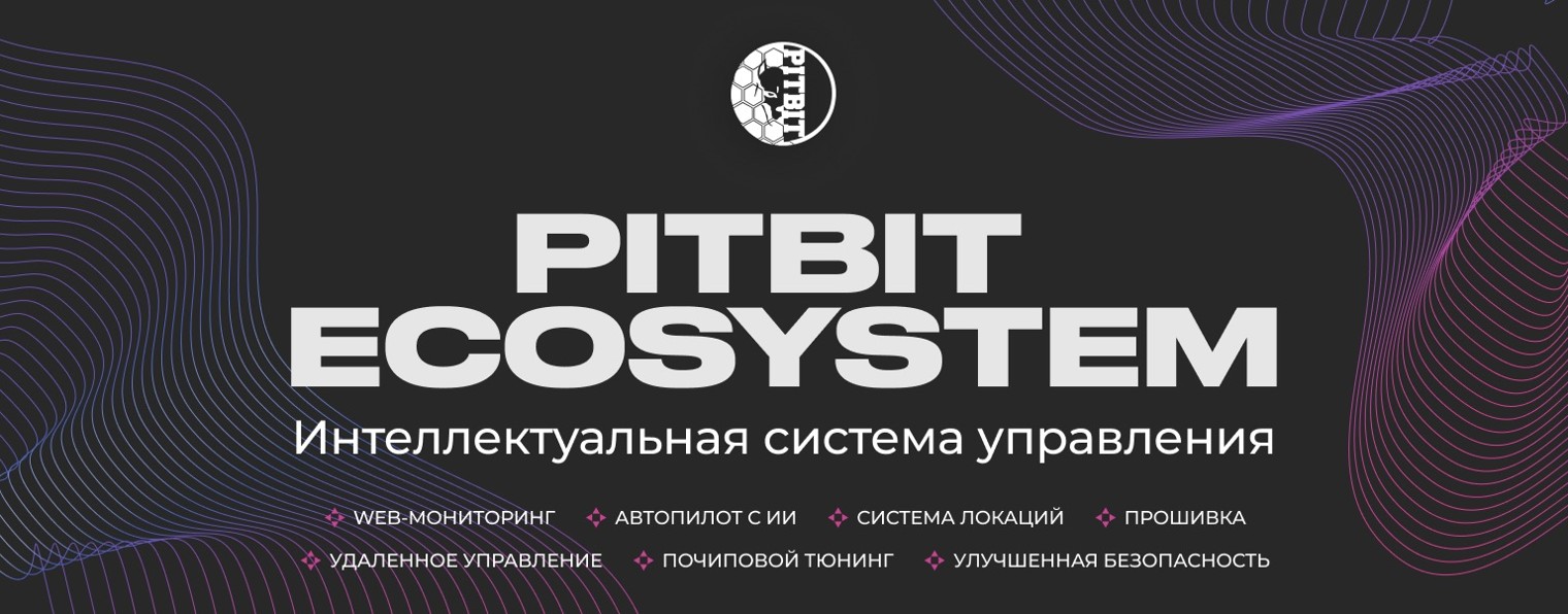 PITBIT