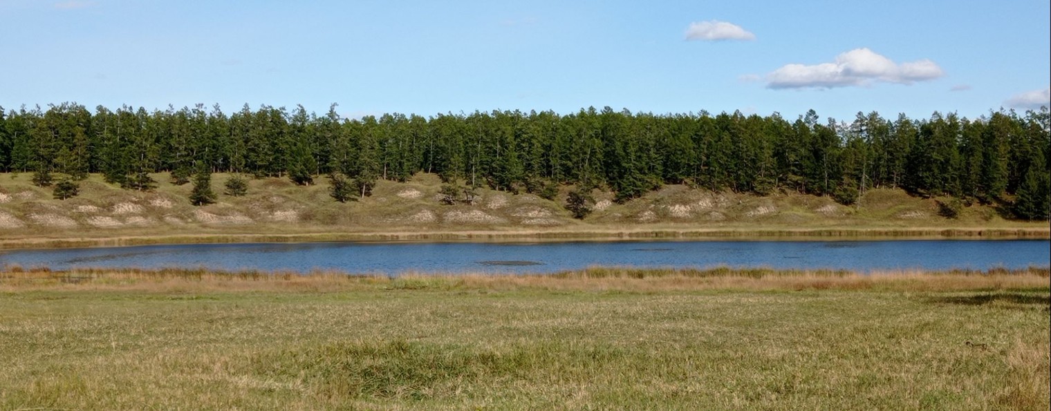 Николай Артемьев