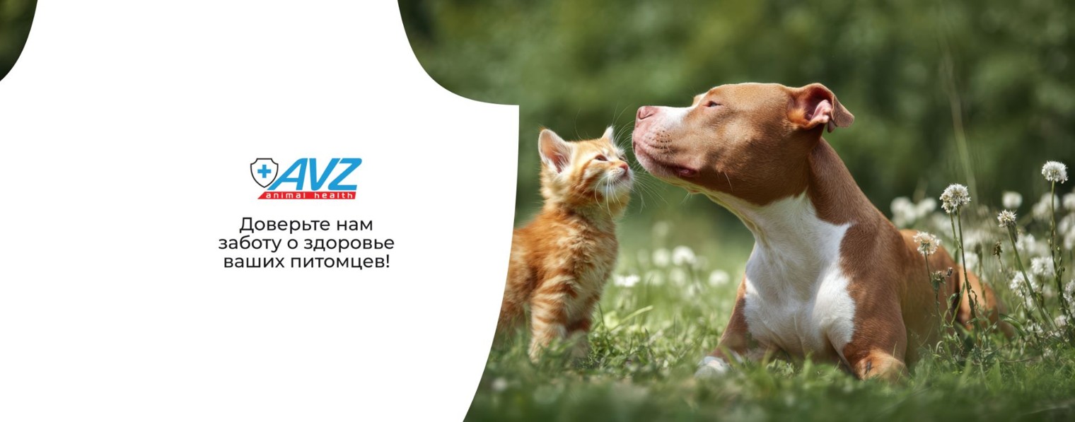 AVZ. Дайджест о здоровье животных