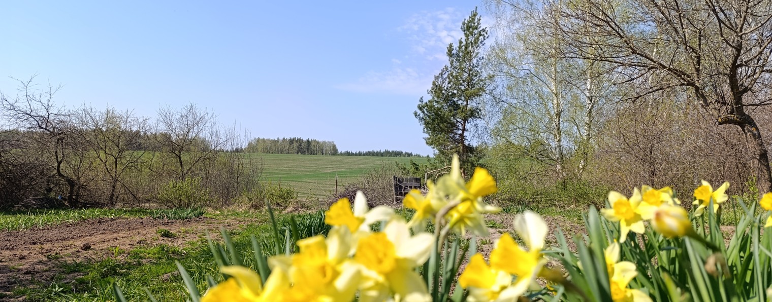 Е-Лень Nahalovna ;)🍀