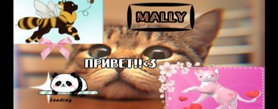 🐈⬛Mally_MurderMittens^^