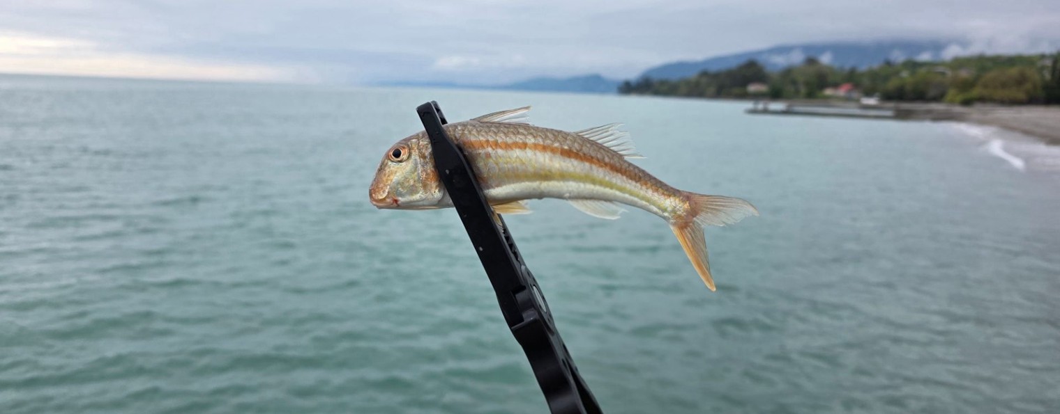 black sea fishing