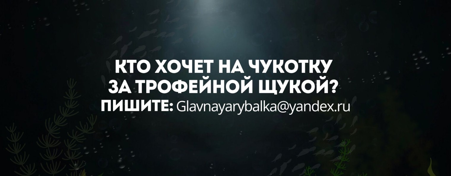 ГЛАВНАЯ РЫБАЛКА