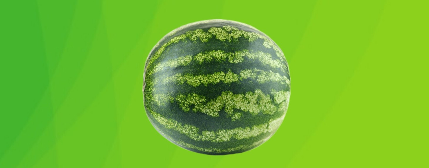 Melone 🍉