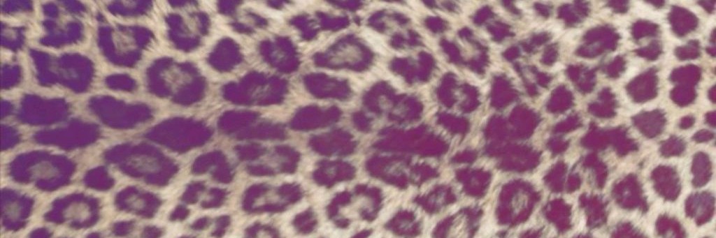 𝓜𝓸𝓸𝓷𝓼𝓲 ✩
