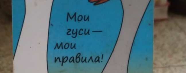 Юлькино хозяйство