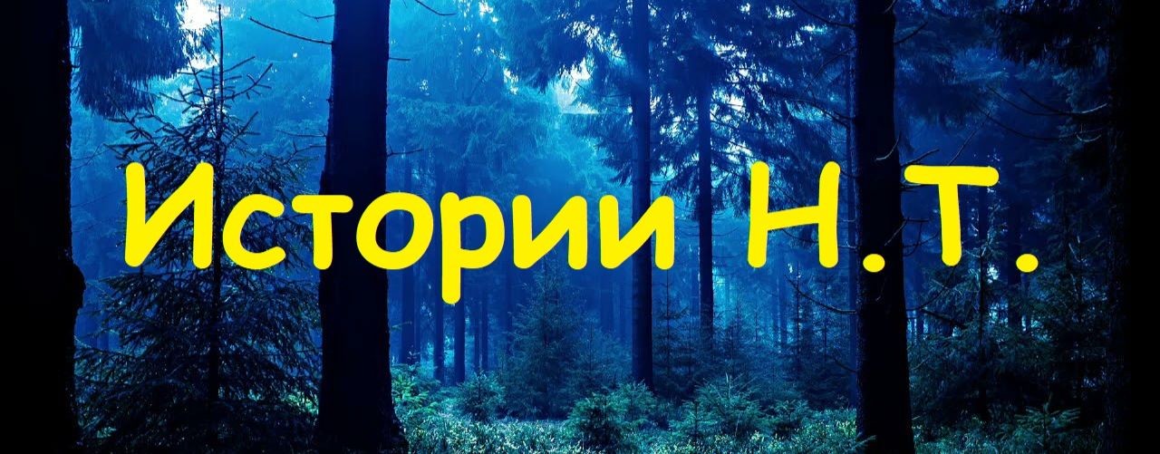 Истории Н.Т.