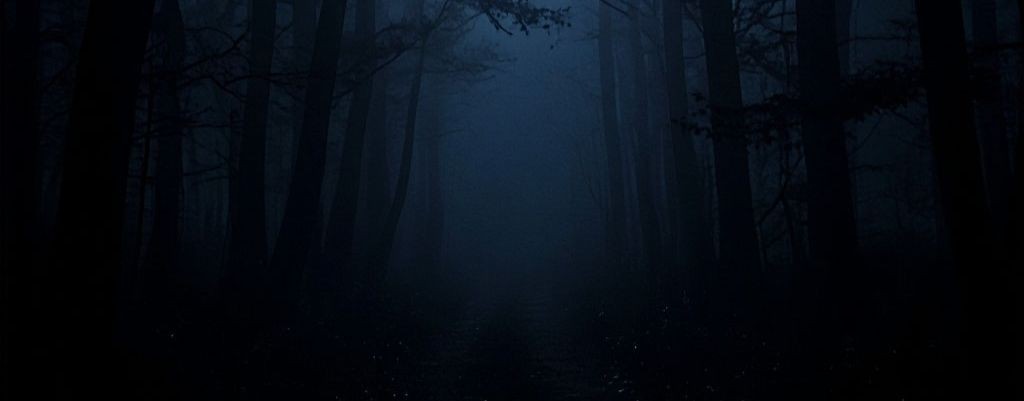 † Тайны ночного архива †