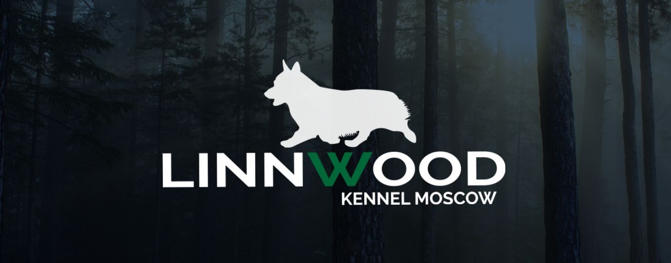 Linnwood