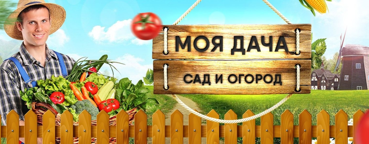 Дневник дачника. Сад и огород