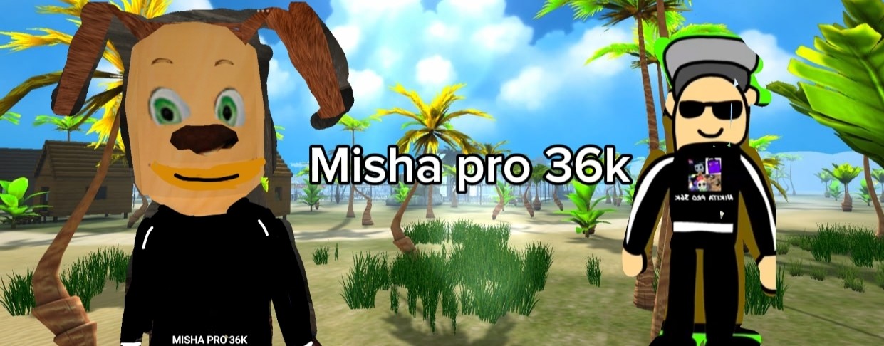 Misha Pro 36k