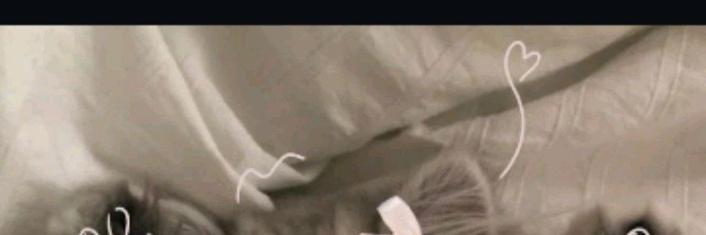 8312@!!! 😺