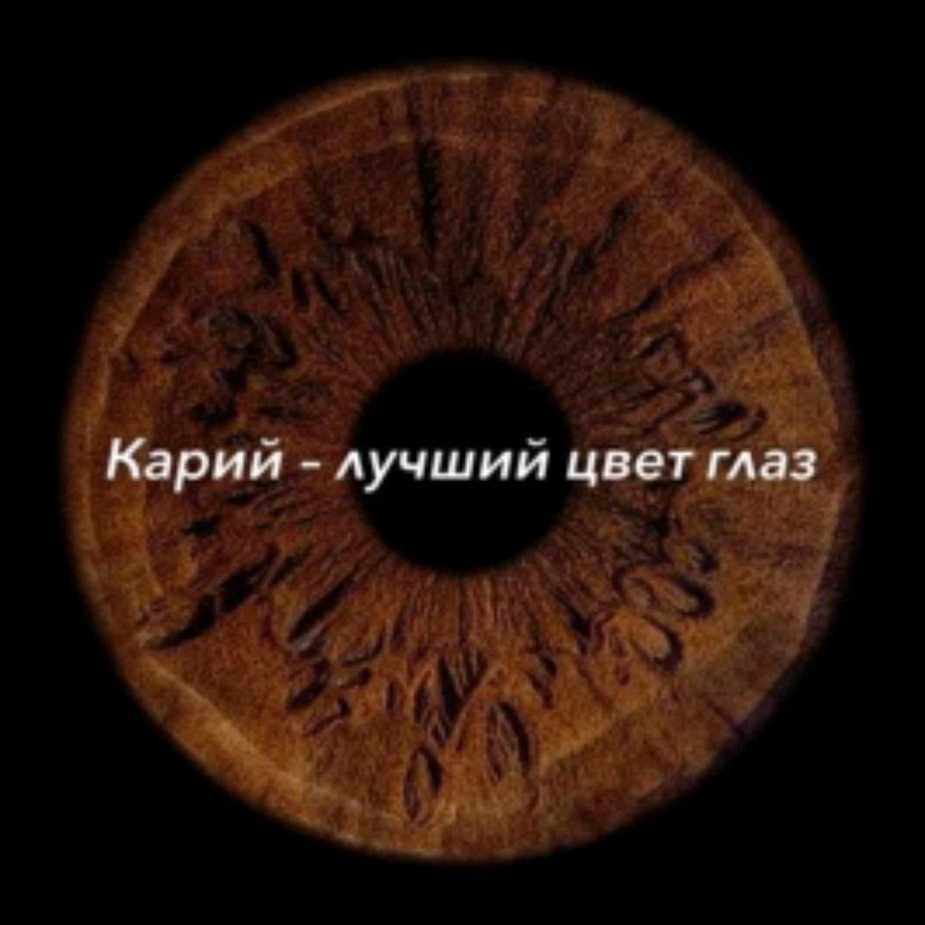 Люблю
