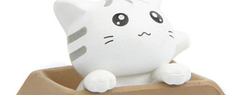 Кот в коробке