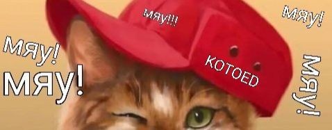 KOTOED
