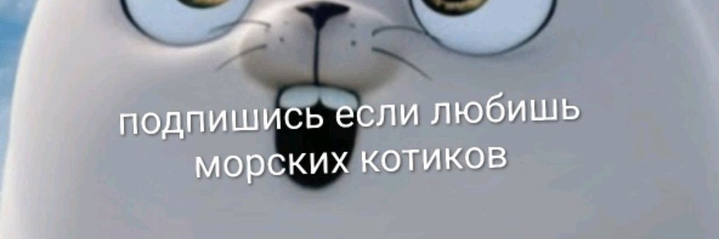 (&₽Саша Смирнов789к и Костя и Цыпа 100к&₽)
