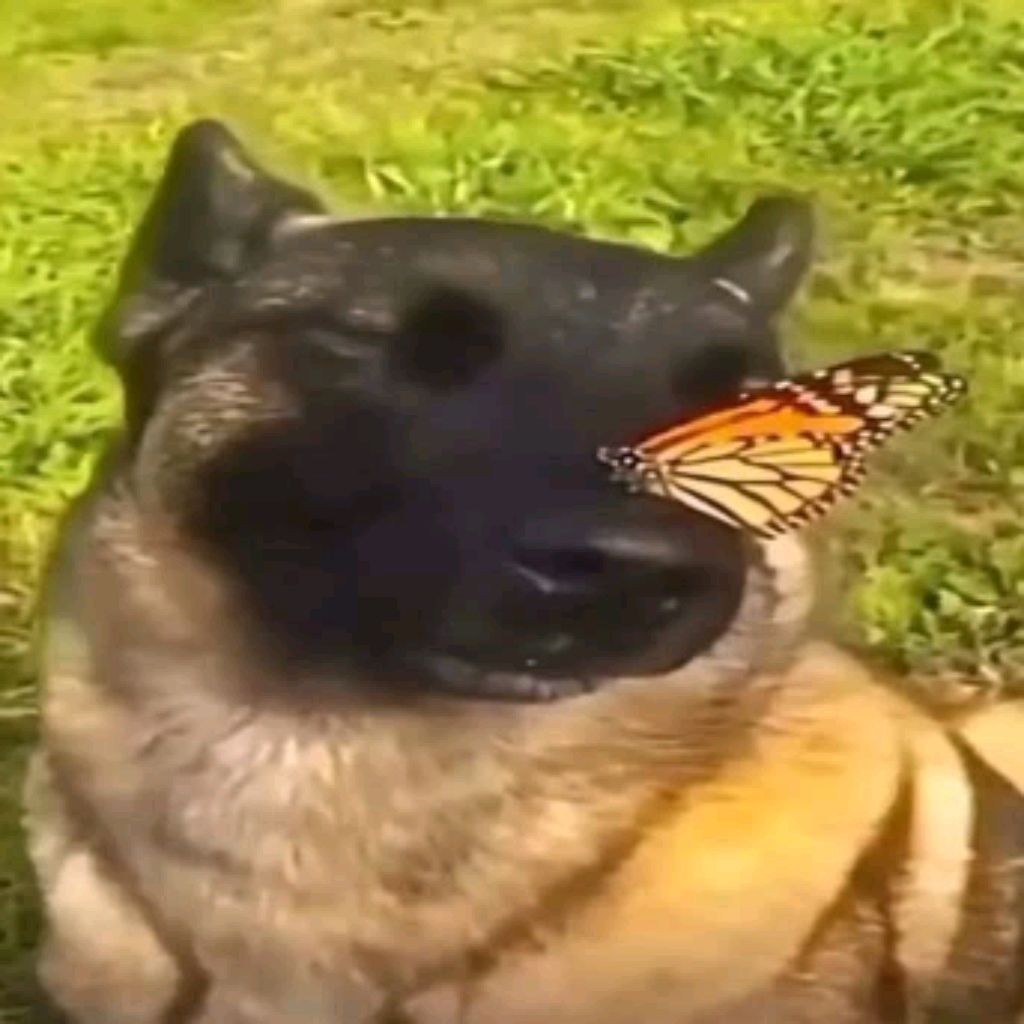 💦Фenek Эlizaбet 🦴