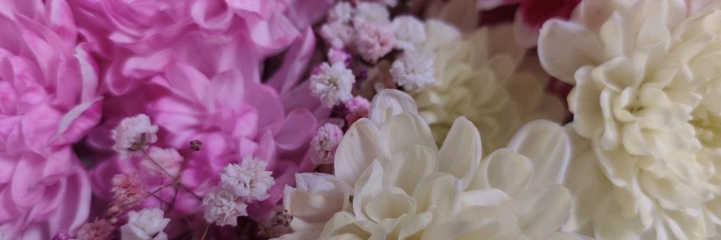 Браунти и Клеви